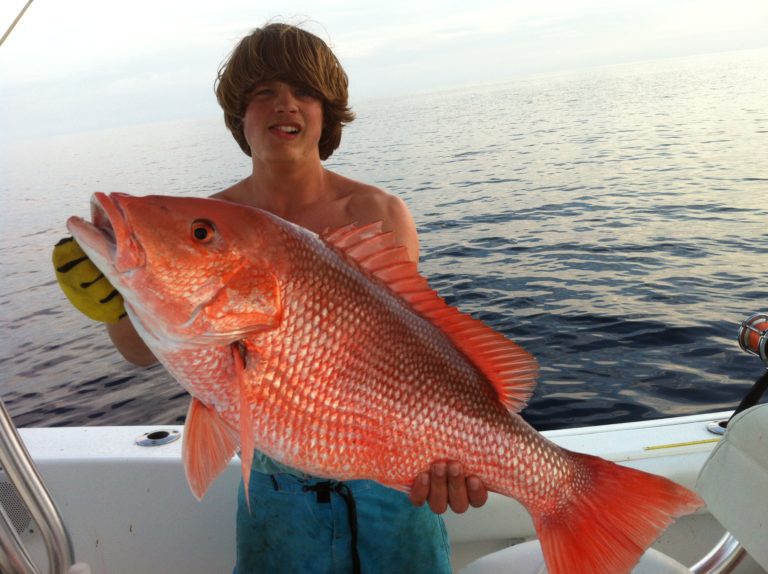 American Red Snapper – Key West Shrimp Company