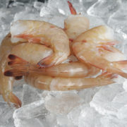 Royal Red Shrimp – Key West Shrimp Company