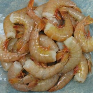 Florida Royal Red Shrimp – Key West Shrimp Company
