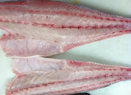 Cobia – Key West Shrimp Company