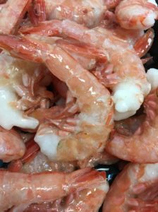 Florida Royal Red Shrimp – Key West Shrimp Company