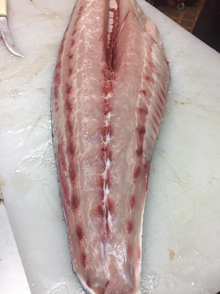 Cobia – Key West Shrimp Company