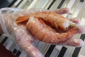 Ruby Red Shrimp (Argentine) Wild – Key West Shrimp Company