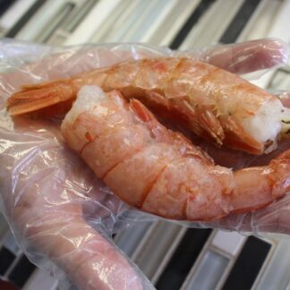 Key West Pink Shrimp – Key West Shrimp Company