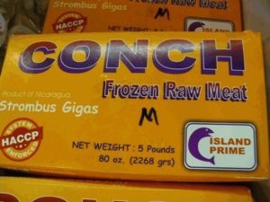 Conch Meat | Key West Seafood Co.