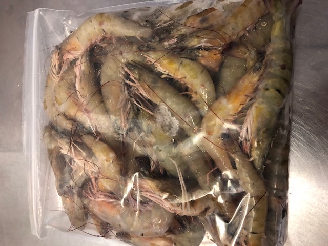 Fresh Gulf Shrimp 2.5 Lbs Head-on – Key West Shrimp Company