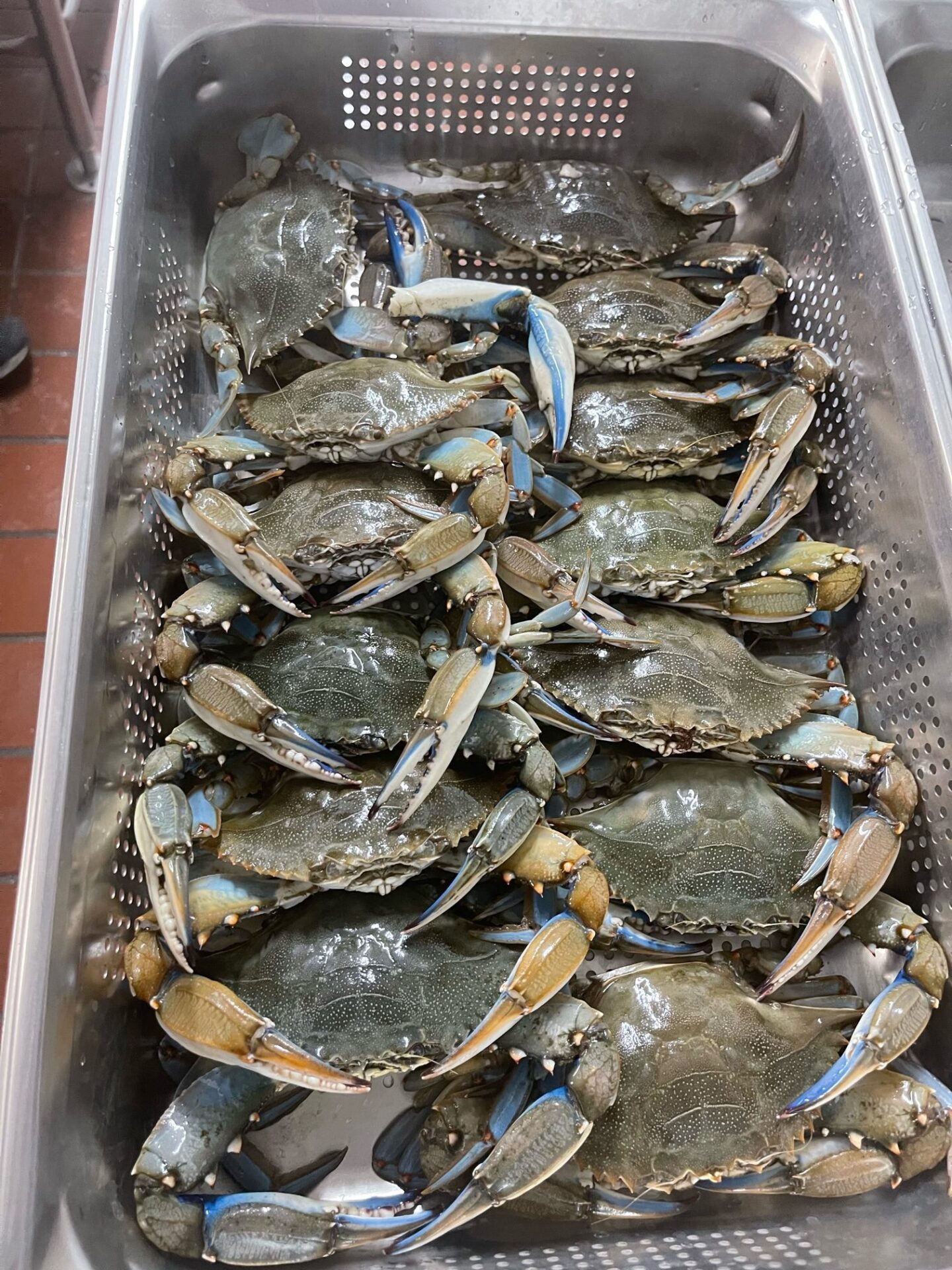 Steamed Blue Crabs And Shrimp